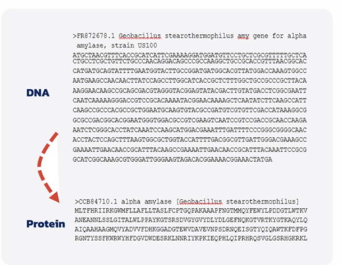 A Guide to Bio Sequence Patent Searching - Lexology