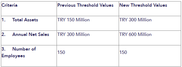Threshold Values for Statutory Independent Audit Updated for 2025 ...