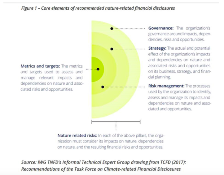 Stemming the tide of biodiversity loss through nature-related financial ...