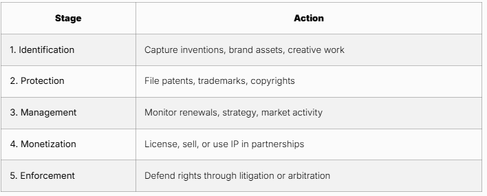 IP Portfolio Management Explained: How to Stay Competitive in the ...