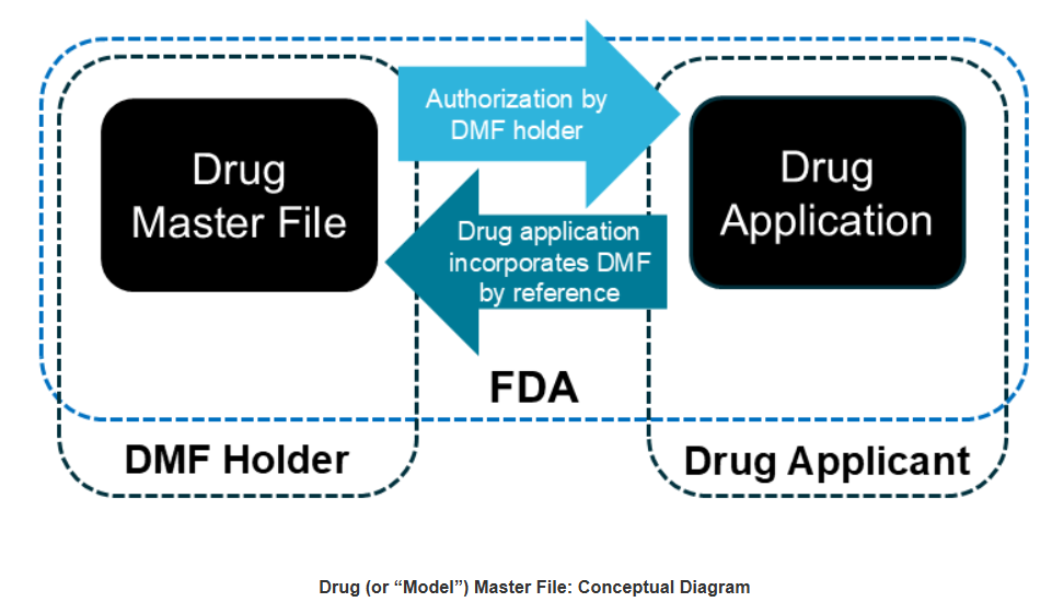 Could FDA Model Master Files Facilitate Use of Third-Party AI Models in ...
