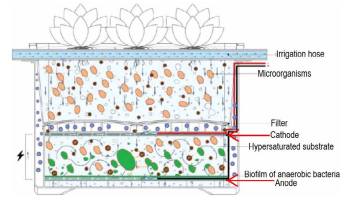 DOE at the UPC - Lexology