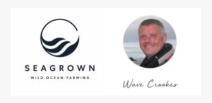 IP Ingredients, Part 10: Coffee Corner with SeaGrown - Harvesting ...